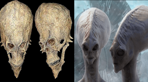 The Unusual Alien Skulls Found in Africa May Alter the Course of ...